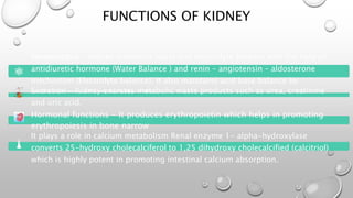 Renal Function Tests (RFT) | PPTX