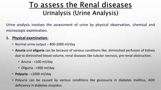 Renal Function Tests (RFT) | PPTX