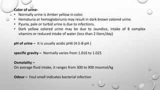 Renal Function Tests (RFT) | PPTX