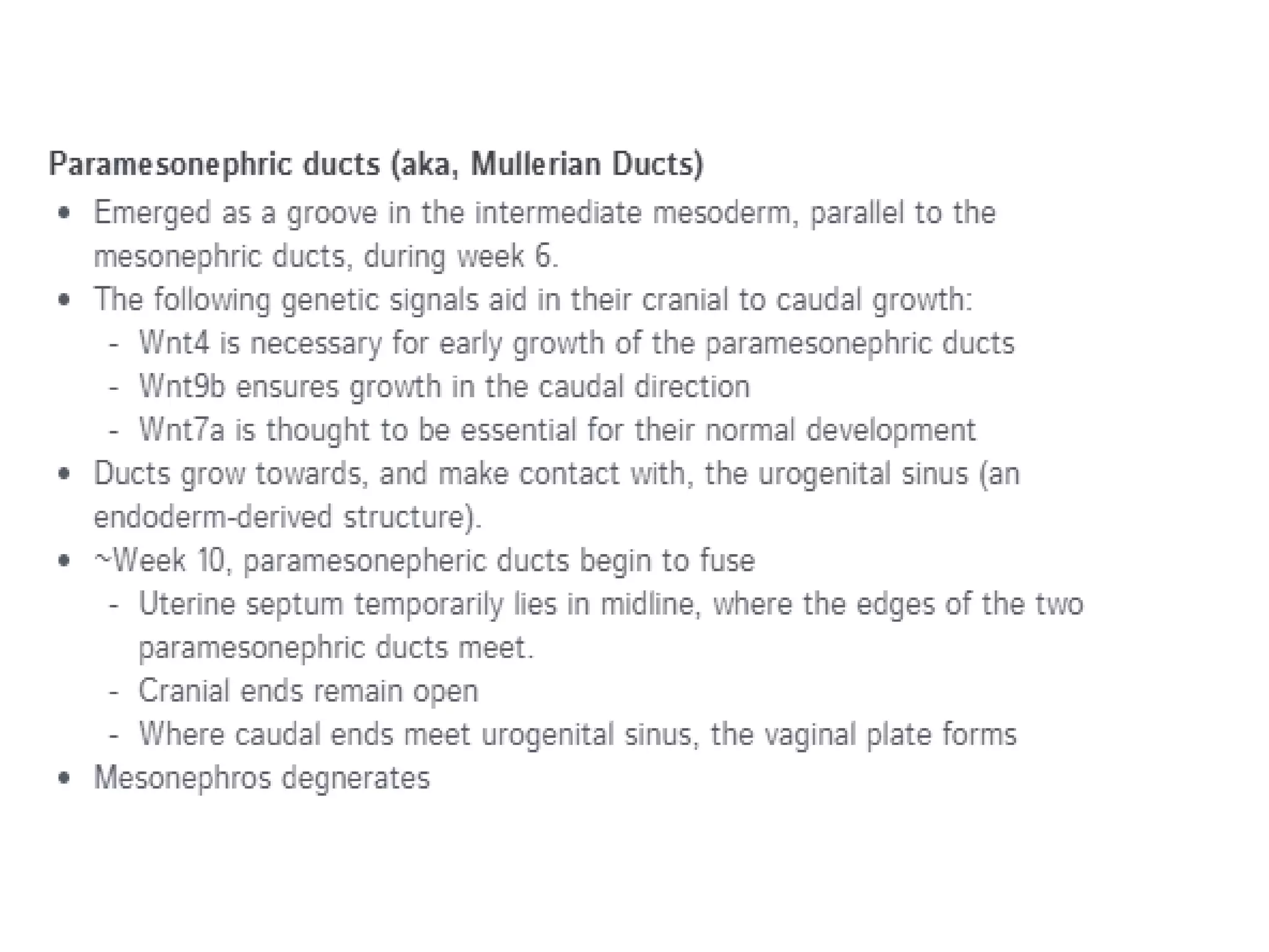 Mullerian Duct Anomalies | PPTX