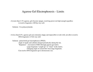 Mdb lab 2 lecture agarose gels | PPT