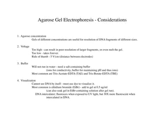 Mdb lab 2 lecture agarose gels | PPT