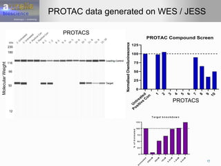MDC Connects: Cell-based screening: Old dogs with new tricks | PPT