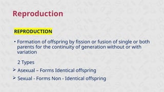 MDCAT Biology Session II - Male & Female Reproductive System and ...