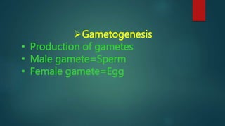 MDCAT unit= 14 Reproduction in animals.pptx