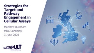 MDC Connects: Strategies for target and pathway engagement in cellular ...