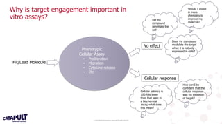MDC Connects: Strategies for target and pathway engagement in cellular ...