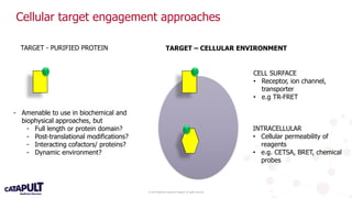 MDC Connects: Strategies for target and pathway engagement in cellular ...