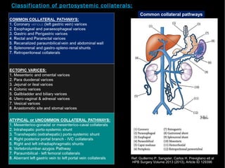 MDCT Evaluation of Varices in Portal Hypertension | PPT