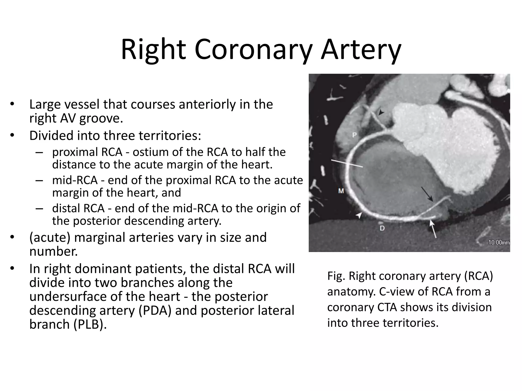 Mdct in cad | PPTX