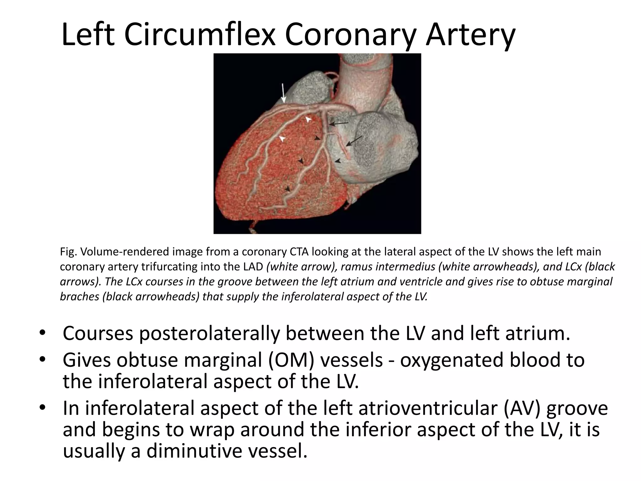 Mdct in cad | PPTX