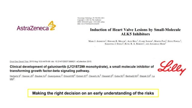 MDC Connects: Making Safety Part of Drug Design | PPTX