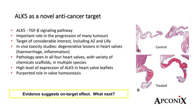 MDC Connects: Making Safety Part of Drug Design | PPTX