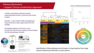 MDC Connects: Designing a Biomarker Strategy | PPTX