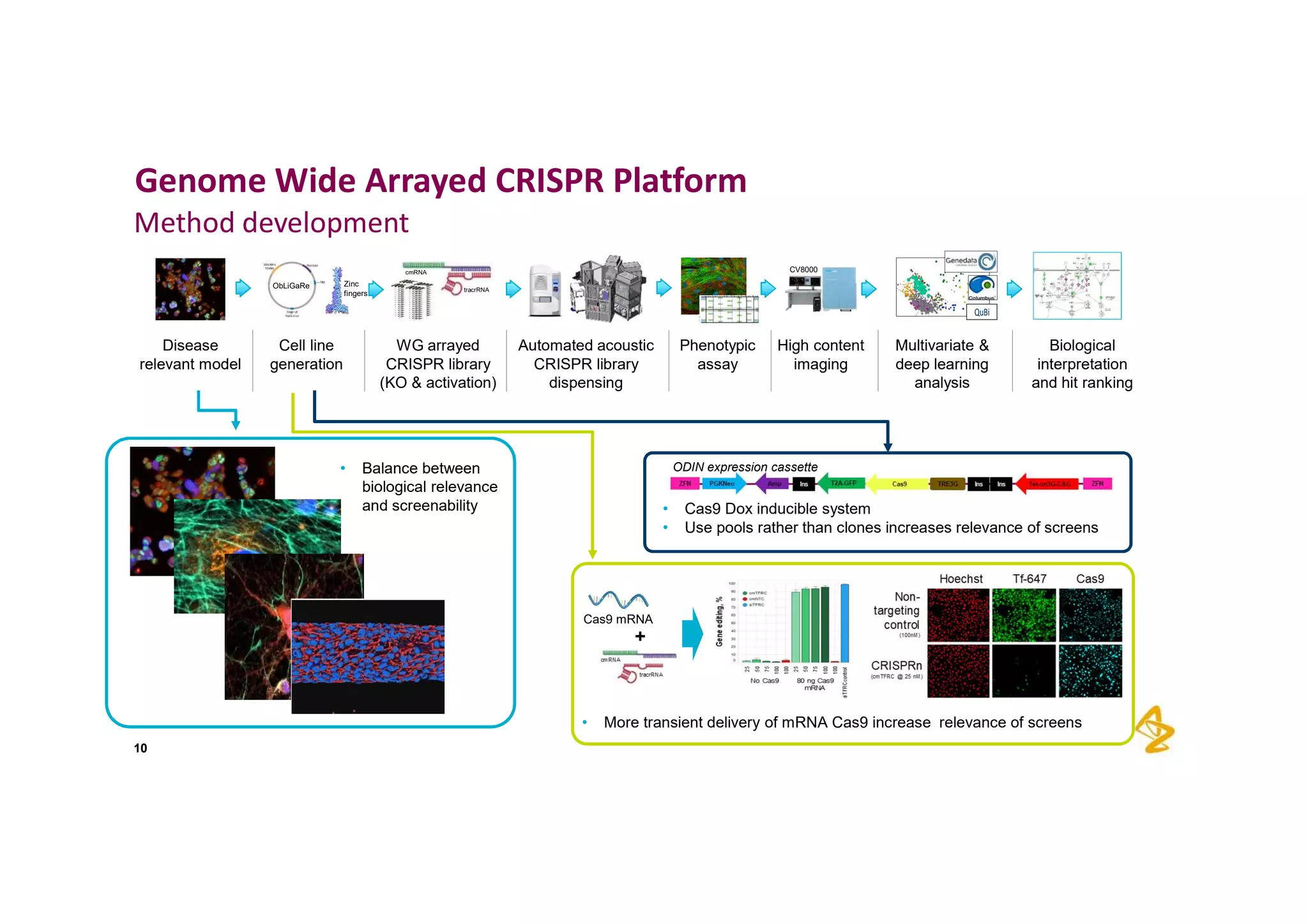 MDC Connects: Target discovery at AstraZeneca | PDF