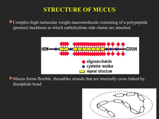 MUCOADHESIIVE DRUG DELIVERY SYSTEM | PPT