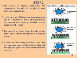 MUCOADHESIIVE DRUG DELIVERY SYSTEM | PPT
