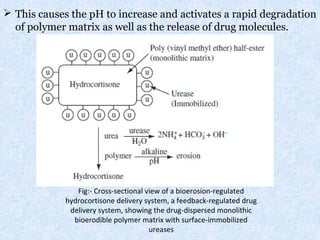 feedback regulated drug delivary system | PPT