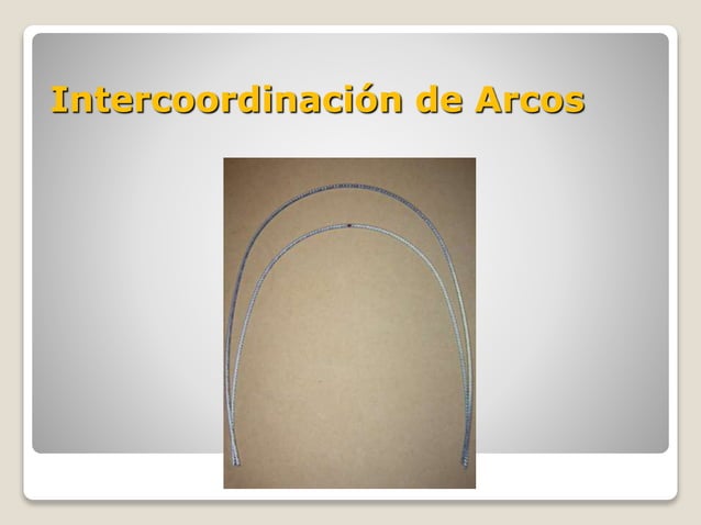 Mdem doblez de 1º orden | PPTX