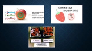 md food irradiation.pptx