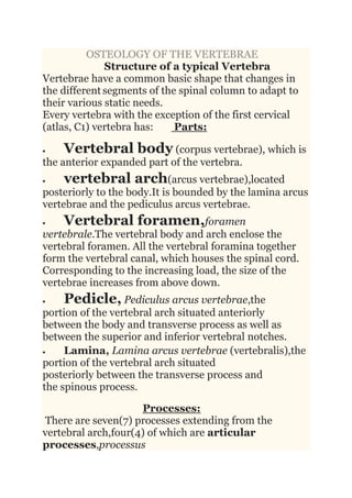 OSTEOLOGY OF THE VERTEBRAE | DOCX