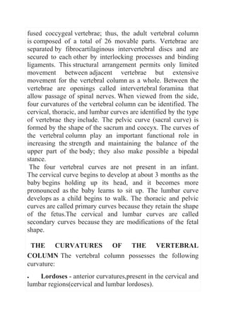 OSTEOLOGY OF THE VERTEBRAE | DOCX