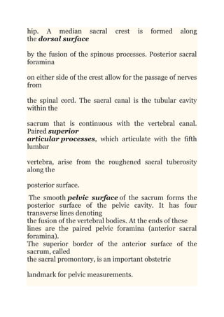 OSTEOLOGY OF THE VERTEBRAE | DOCX