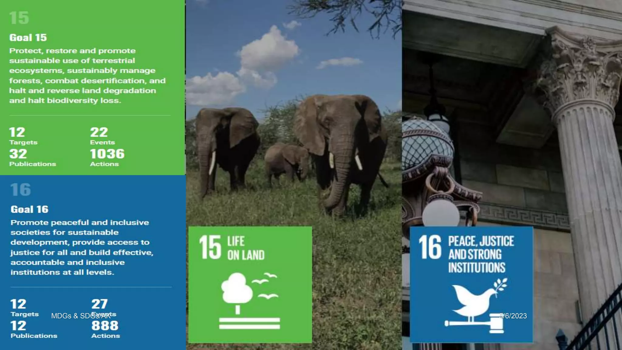 MDG and SDG Goals.pptx