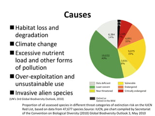 Reduce the Loss of Biodiversity - By Olivia | PPT