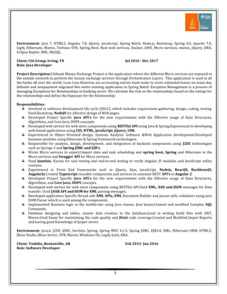 Full stack Java Developer | PDF