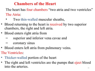 Physiology of cardiovascular system | PPT