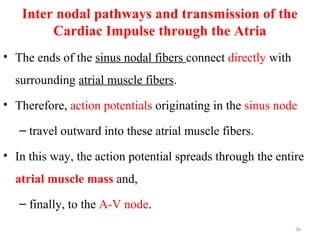 Physiology of cardiovascular system | PPT