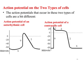Physiology of cardiovascular system | PPT