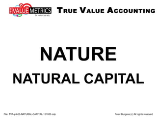 MDIA p3-04 NATURAL CAPITAL 151010 | PPT