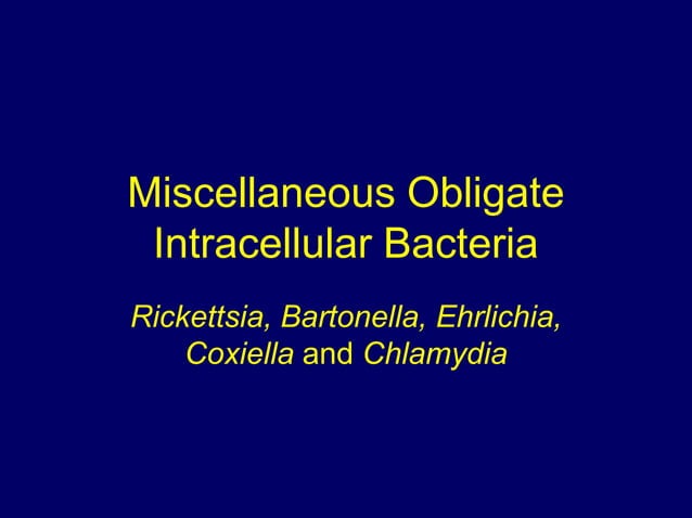 MDL 237 - Miscellaneous obligate intracellular bacteria | PPS