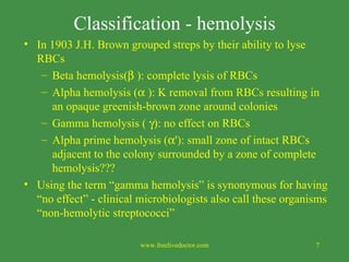 Mdl 237 Streptococci | PPT