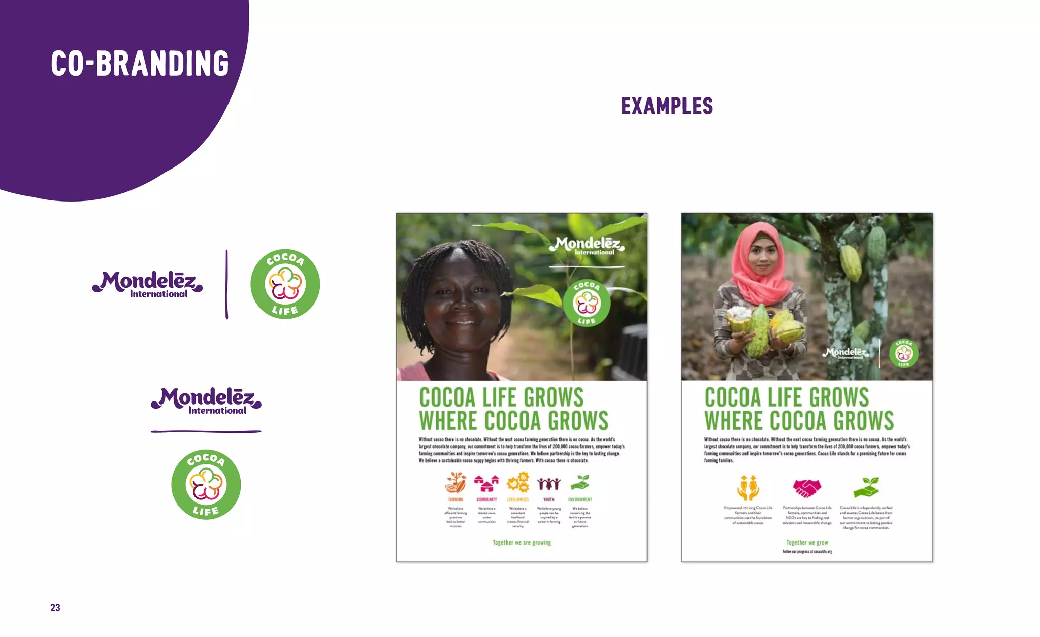 Mdlz brand book 2019 | PDF