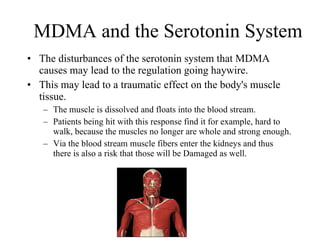 Mdma | PPT