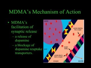 Mdma | PPT