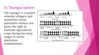 Practices of agroforestry system | PPTX