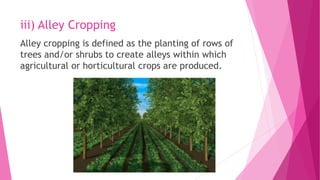 Practices of agroforestry system | PPTX