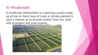 Practices of agroforestry system | PPTX