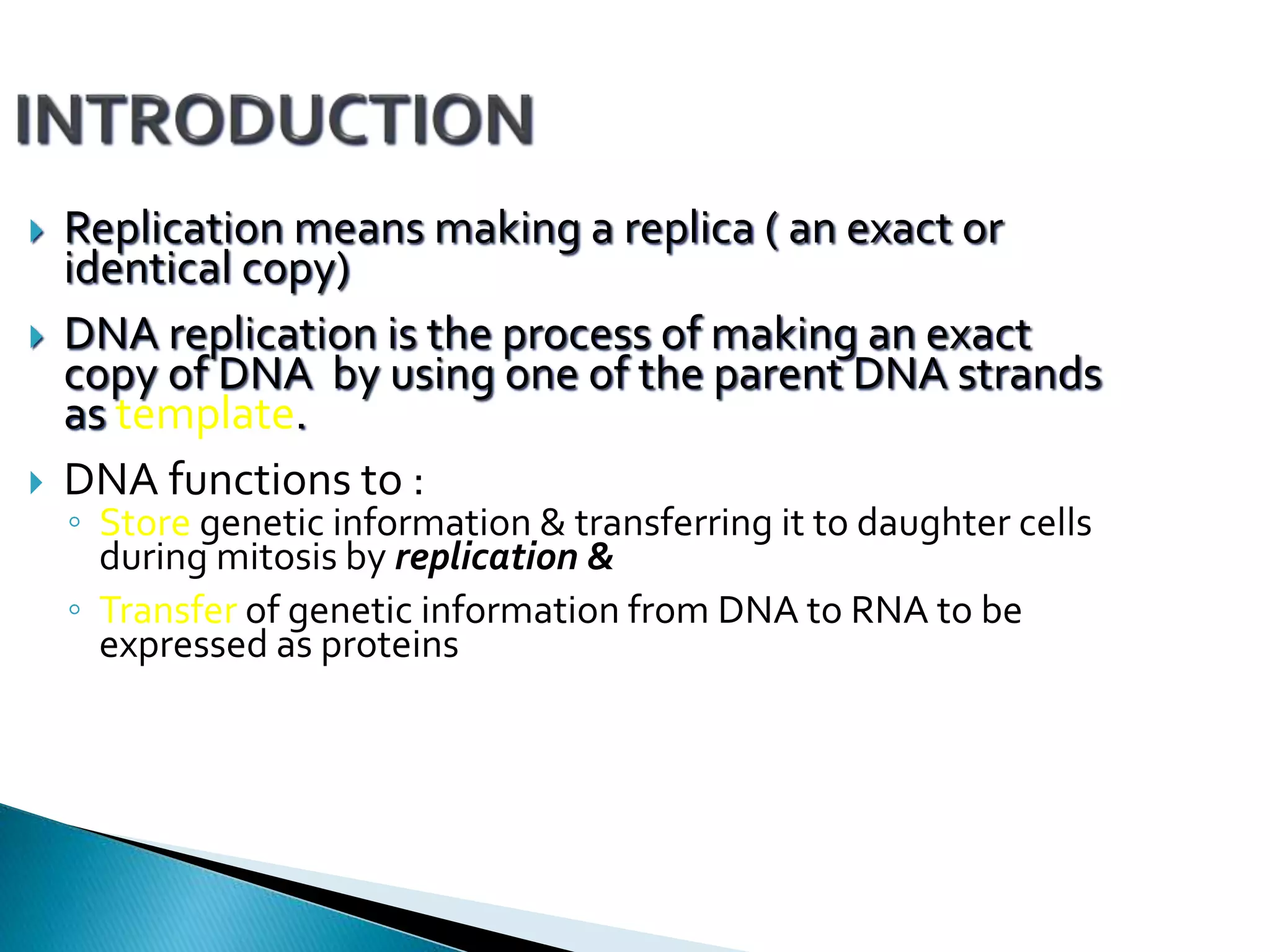 Replication In Eukaryotes and Prokaryotes | PPTX