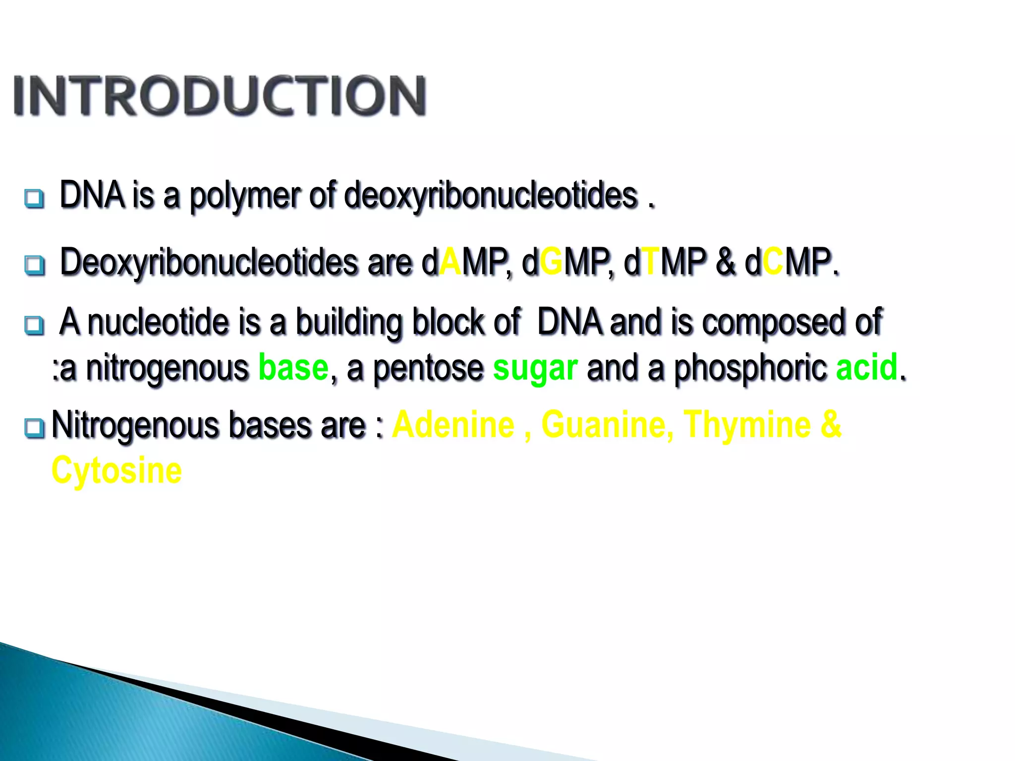 Replication In Eukaryotes and Prokaryotes | PPTX