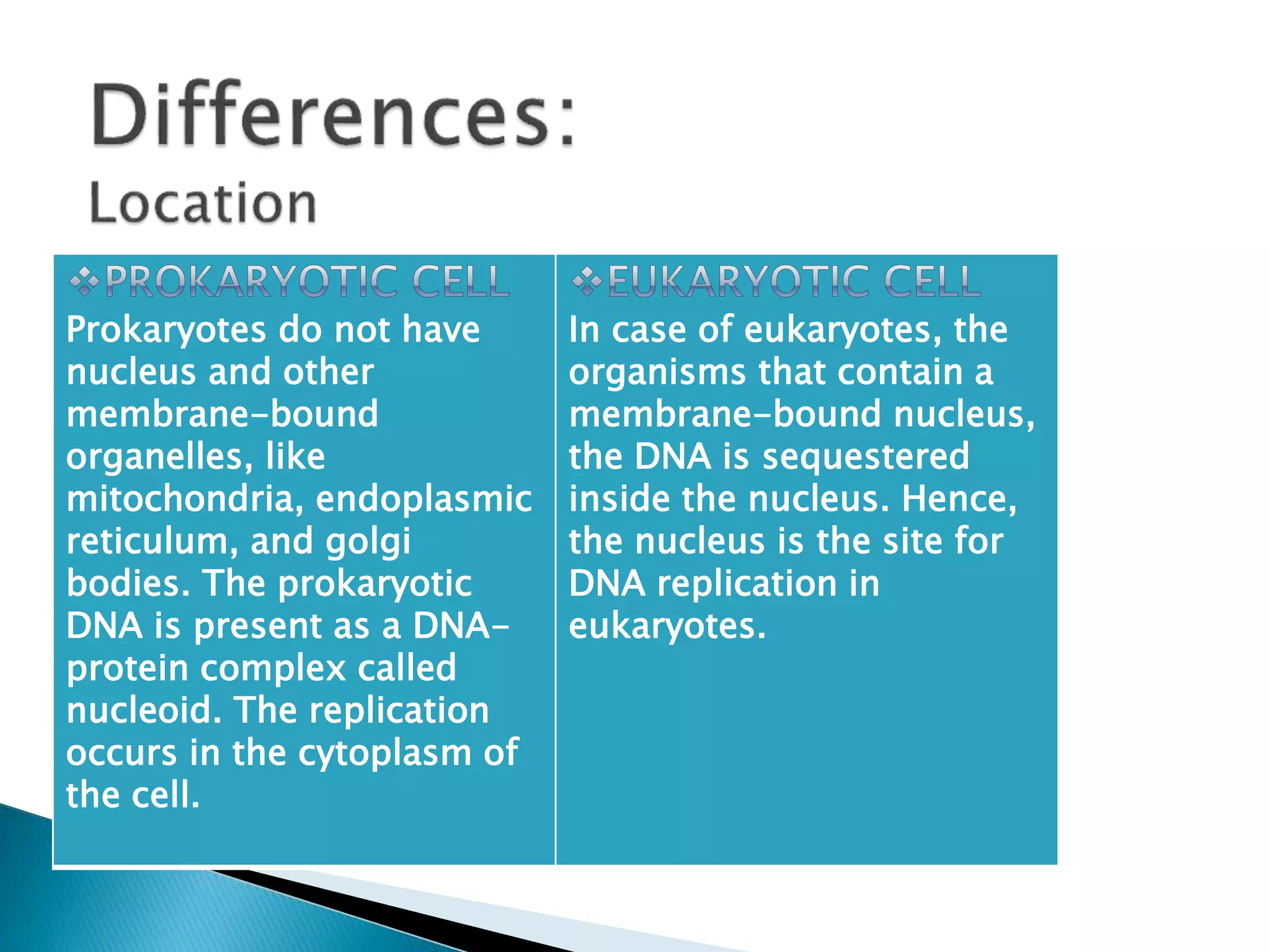 Replication In Eukaryotes and Prokaryotes | PPTX