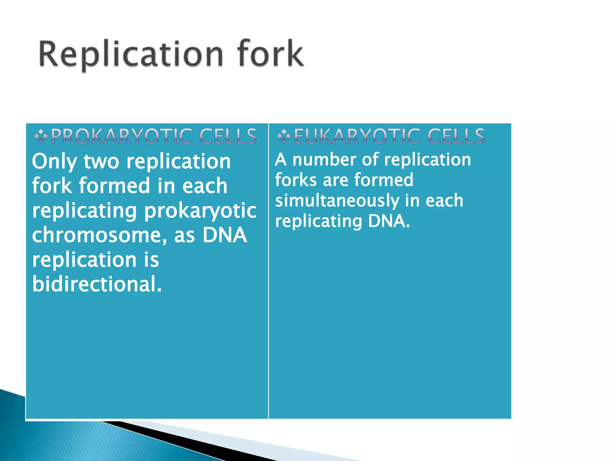 Replication In Eukaryotes and Prokaryotes | PPTX