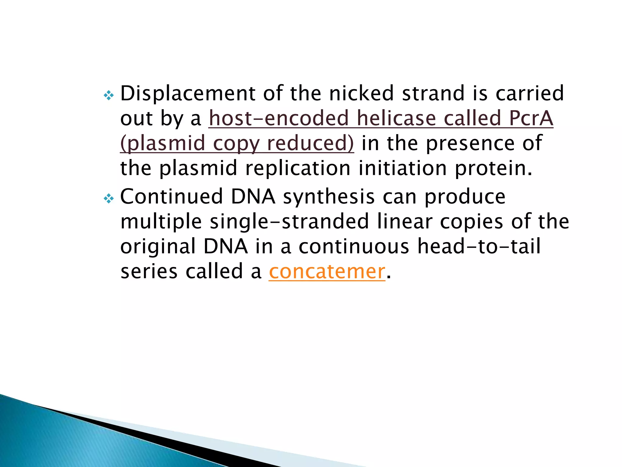 Replication In Eukaryotes and Prokaryotes | PPTX