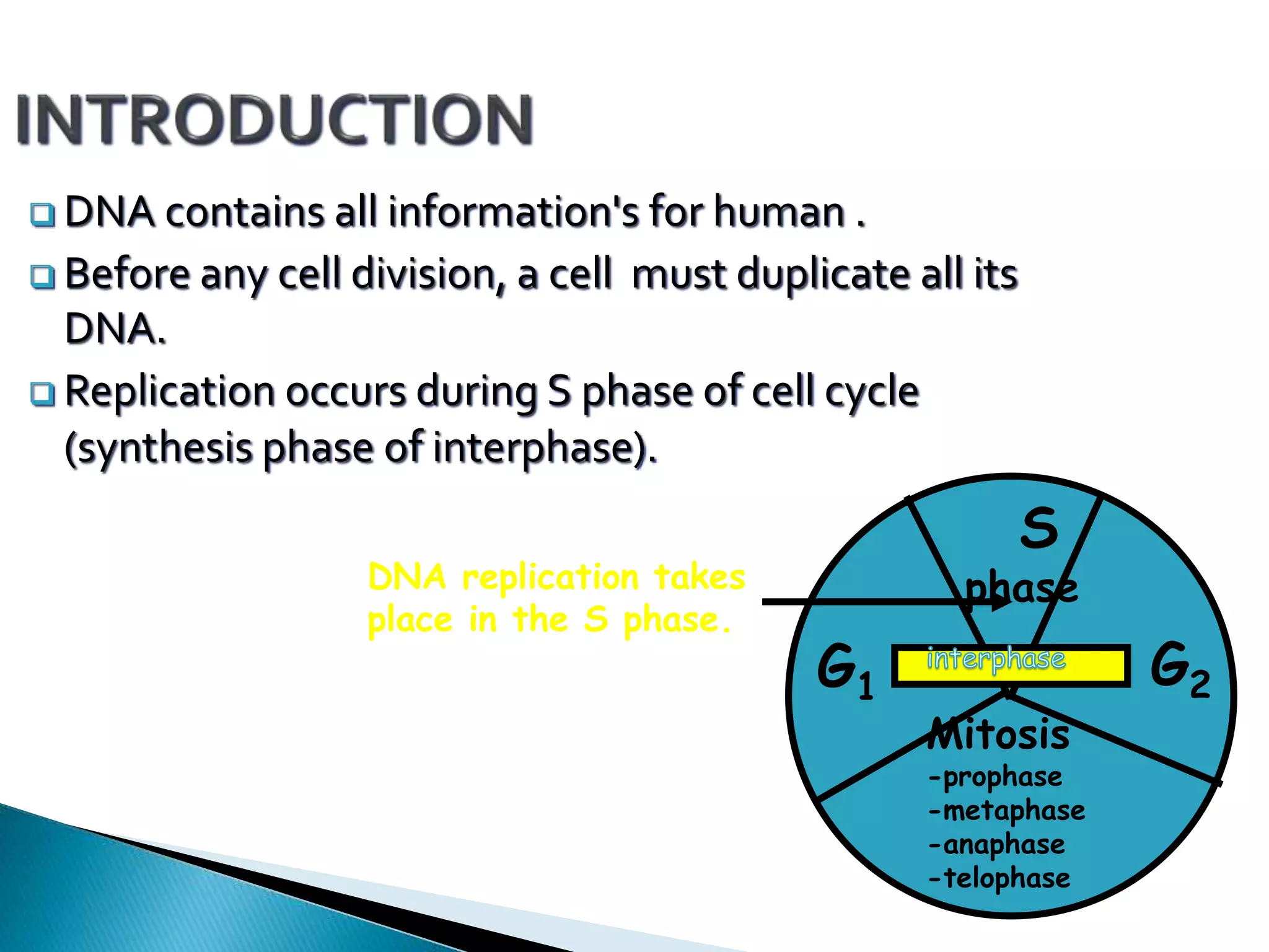 Replication In Eukaryotes and Prokaryotes | PPTX