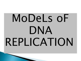 Replication In Eukaryotes and Prokaryotes | PPTX