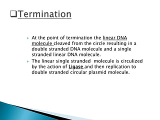 Replication In Eukaryotes and Prokaryotes | PPTX